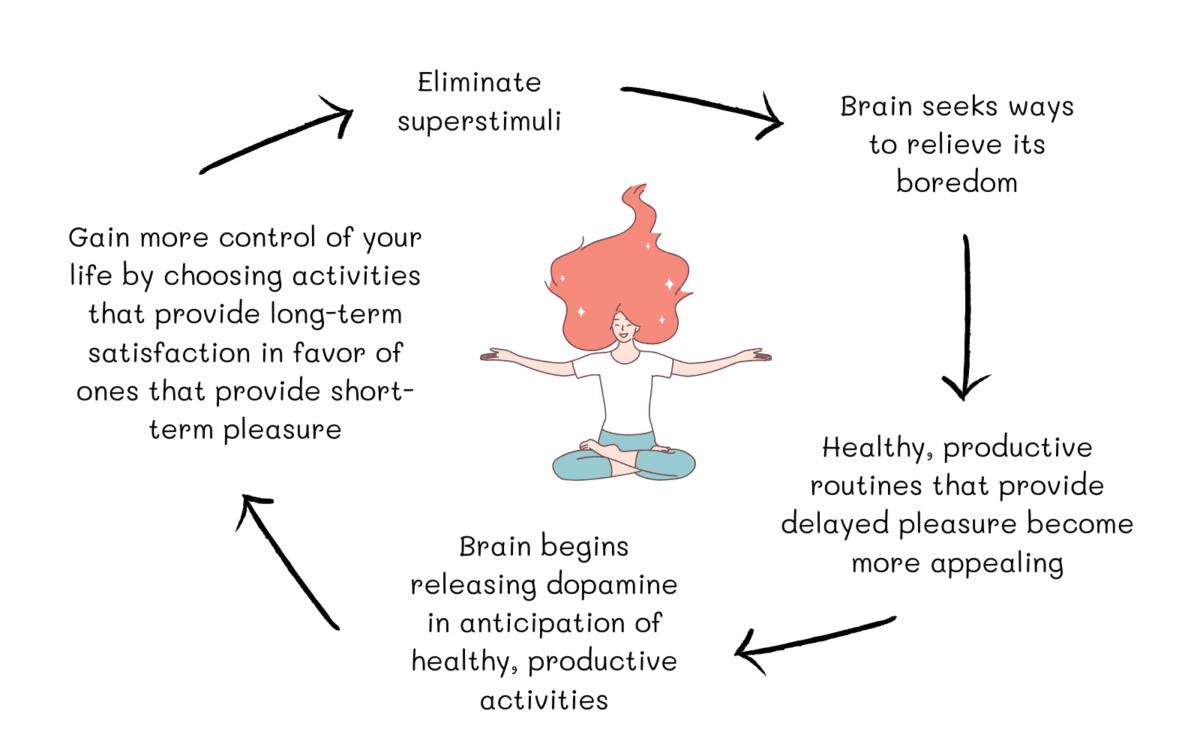 7-Day Dopamine Detox for Studying—Skyrocket Your Focus Now!