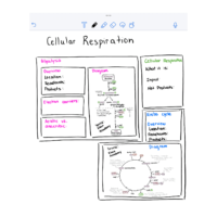 14 Note Taking Methods That Are Efficient & Effective