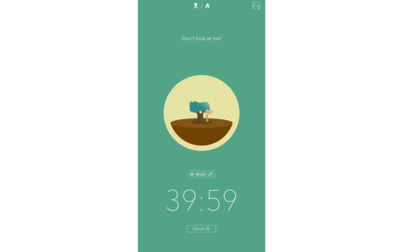 17 Aesthetic Study Timers to Romanticize Studying