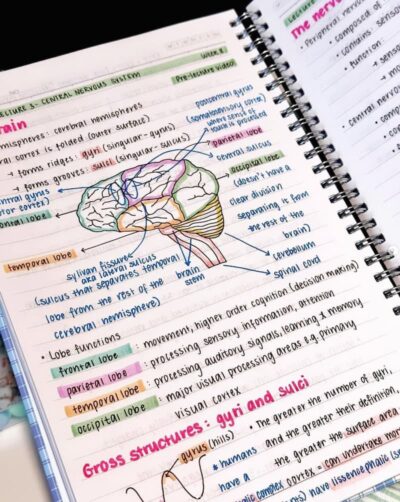 How to Take Aesthetic Notes in 5 Simple Steps for Beginners